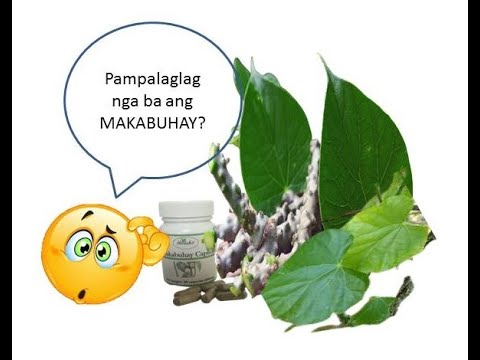 Pampalaglag nga ba ang pag-inom ng makabuhay?
