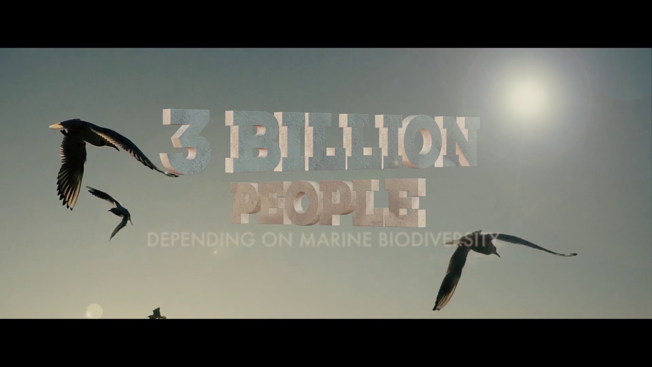 Mighty Ocean - YouTube