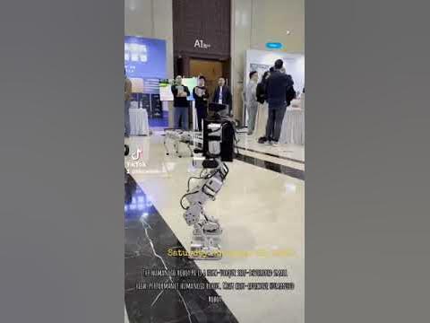 🦾🤖The humanoid robot Hi is a high-torque self-developed small high ...