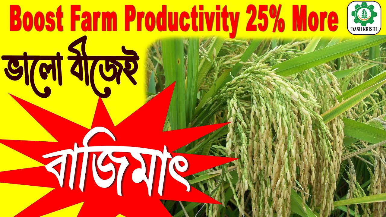 ভালো বীজেই বাম্পার ফলন ॥ Boost Farm Productivity: 25% More with Quality ...
