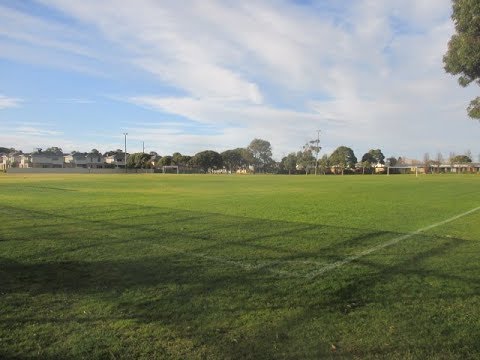 Carlson Reserve Dog Off Leash Area (Clayton) - YouTube