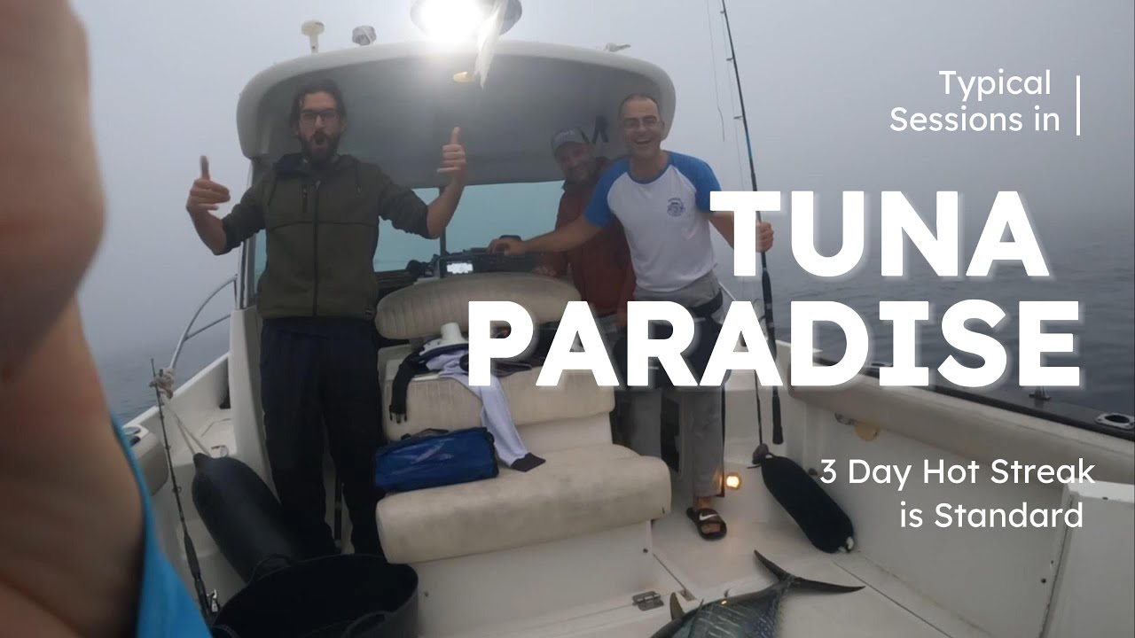 Typical tuna fishing in Gibraltar, Tuna Paradise. 3 Day HOT STREAK ...