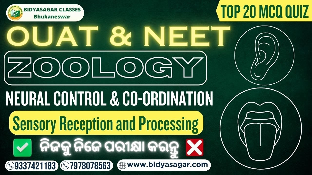 Neural control and coordination MCQ for NEET | SENSEORY RECEPTION ...