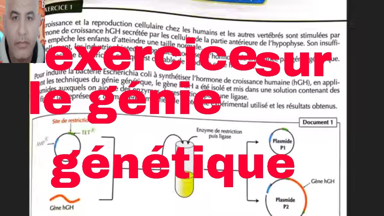 exercice sur le génie génétiques - YouTube