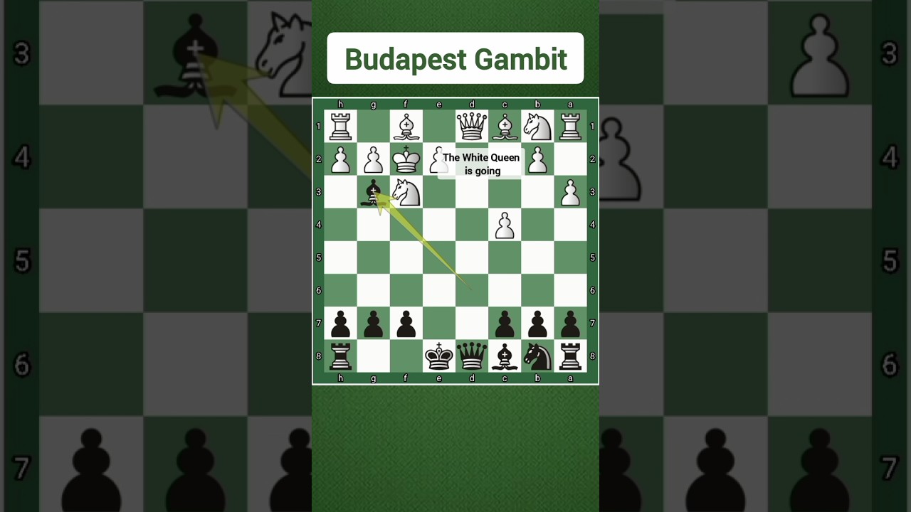 Budapest Gambit. A chess trick to target the queen - YouTube