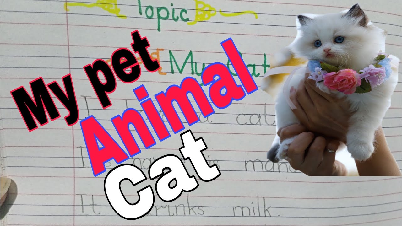 My pet animal Cat | short paragraph on cat |Domestic Animal Cat ||Teach ...