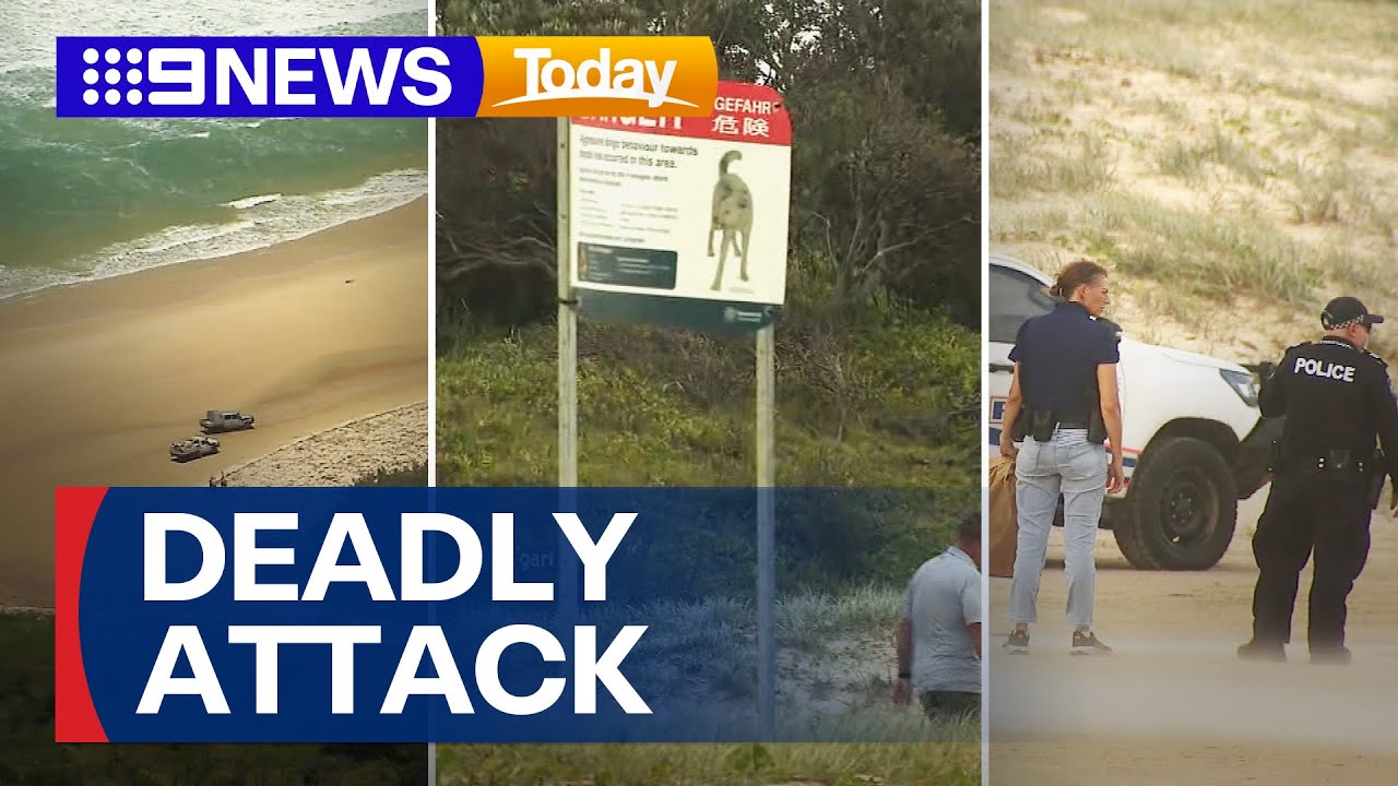 Queensland Police investigate suspected deadly dingo attack | 9 News ...