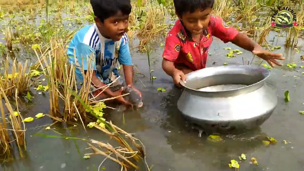 Unbelievable Boys Hand Fishing video|Beautiful Village Smart Fisherman ...