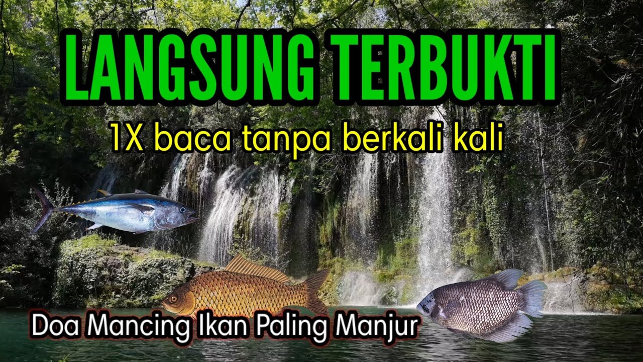 SEKALI PAKAI LANGSUNG TERBUKTI !! DOA MANCING IKAN PALING MANJUR - YouTube