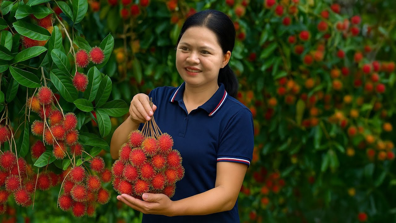 RAMBUTAN FRUIT | Harvest 100 KG Rambutan Fruits Go to Market Sell ...