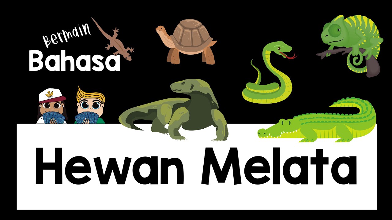 🇮🇩 Latihan Hewan Melata - Reptiles Indonesian Vocabulary ...