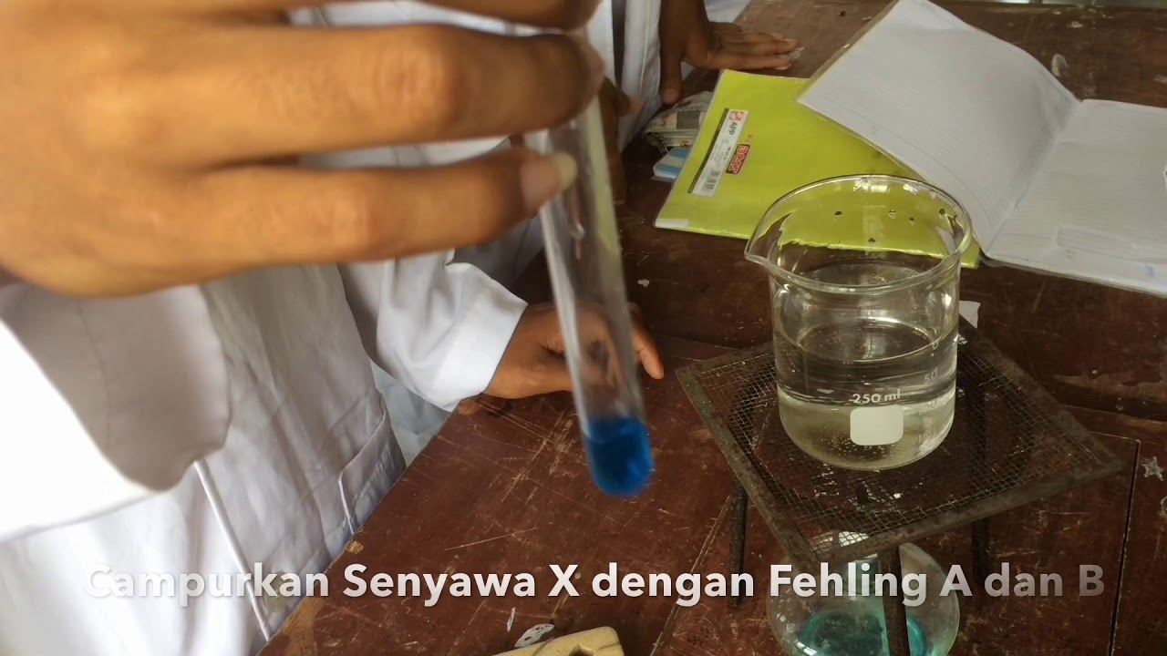 Praktek Uji Aldehid Dengan Pereaksi Fehling - YouTube