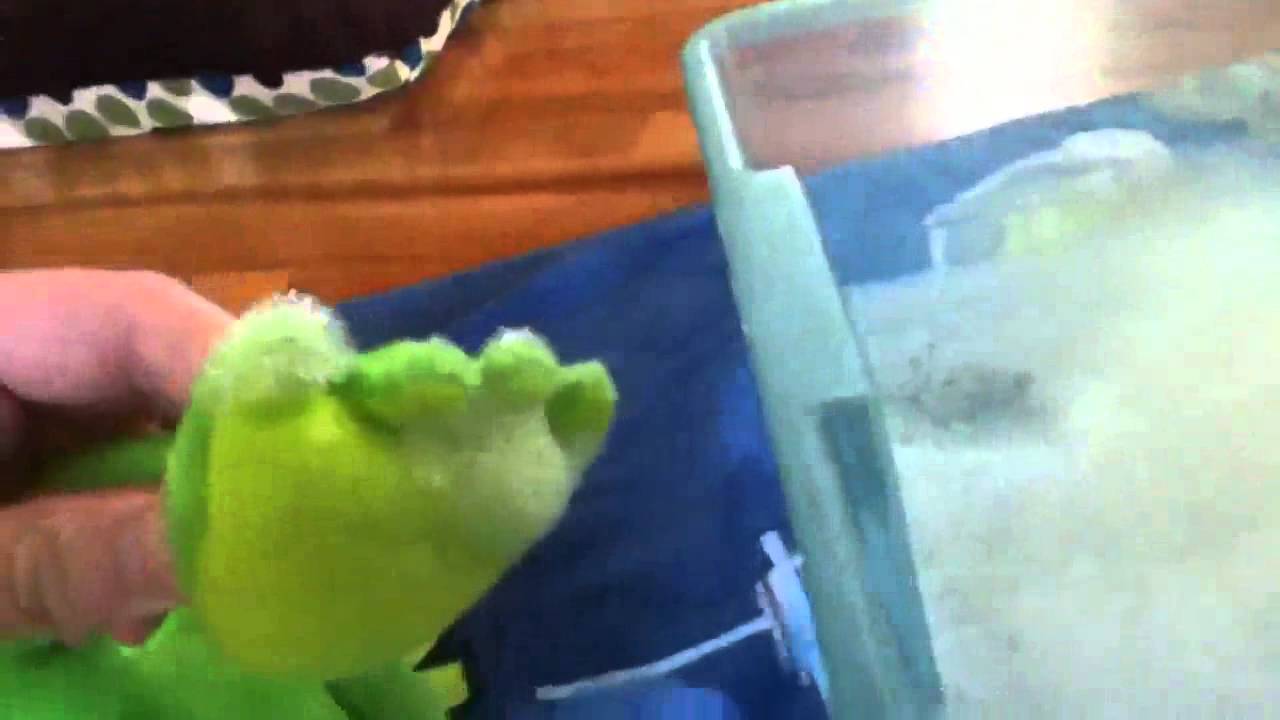 TGB1 Short: Kermit Takes a Bath - YouTube