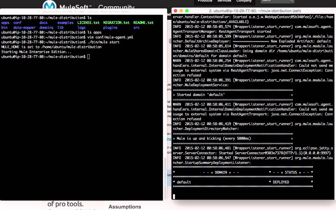 Mule agent deployment API demo - YouTube