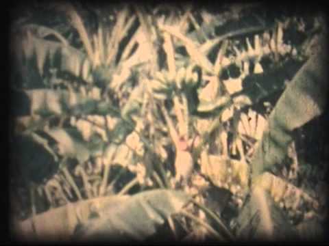 Vachon Family - Early Canada - YouTube