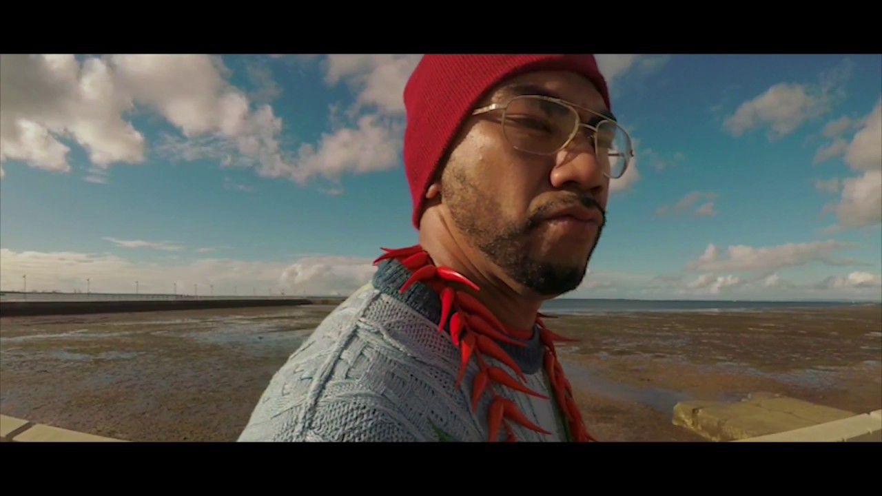 George Samia - She Flaunts It (Full HD) - YouTube