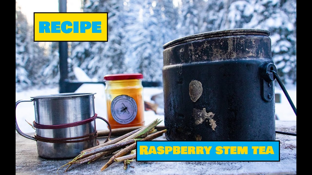 How to Make Raspberry Stem Tea - Easy Outdoors Drinks - YouTube