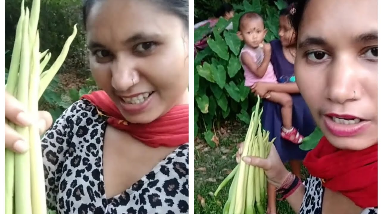 govir jongole kochu ful tulte elam are sheyal dekhte pelam #bangla blog ...