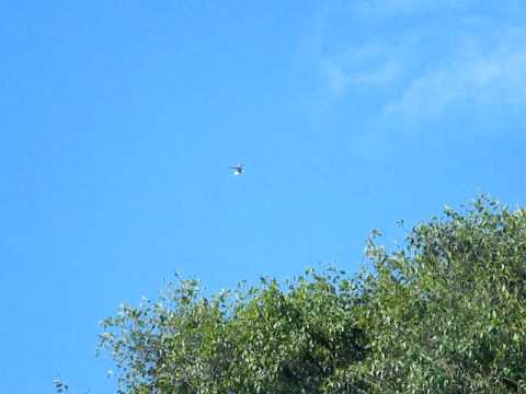 Flying Tipplers NTAA