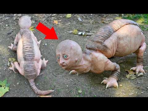 Dunyodagi Eng Katta Hayvon Nima? | Hayvonlar 2024