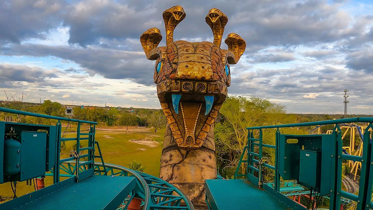 Cobra's Curse Roller Coaster! Busch Gardens Tampa! Onride POV! - YouTube