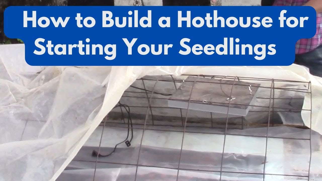 How to Build a Hothouse for Starting Your Seedlings - YouTube