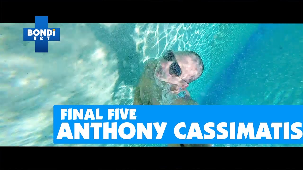 FINAL FIVE - Anthony Cassimatis - YouTube