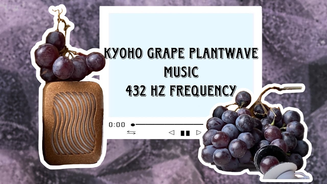 PlantWave Kyoho grapes music 432 hz frequency meditation relaxation ...