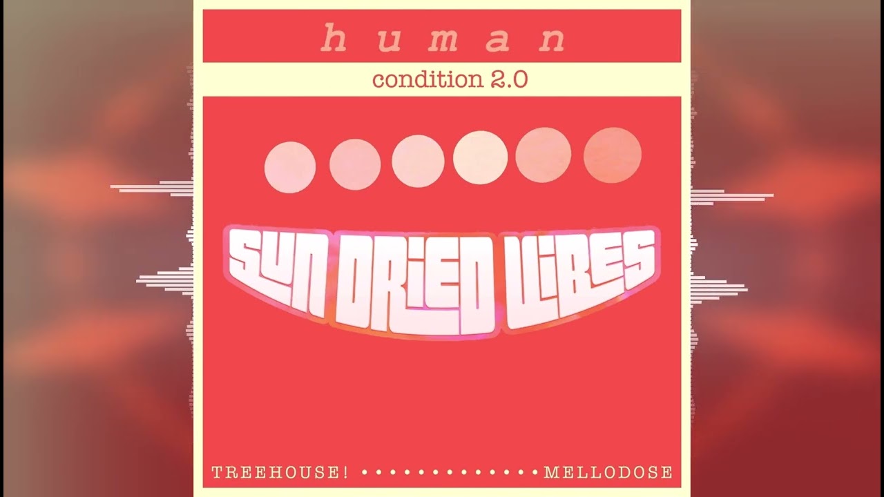Sun Dried Vibes - Human Condition 2.0 (feat. Mellodose & TreeHouse ...