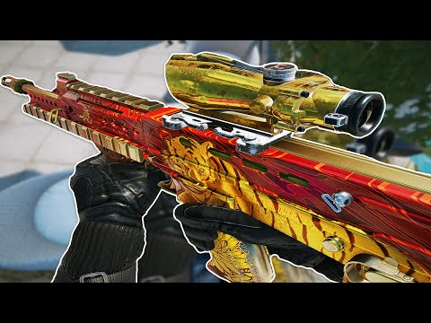 Y6S4 YEAR OF THE TIGER Weapon Skin + Gold Attachment Skin - Showcase IN ...