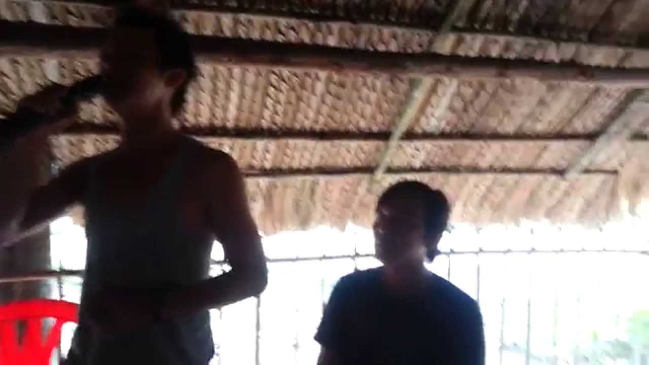 Phan tan dat - YouTube