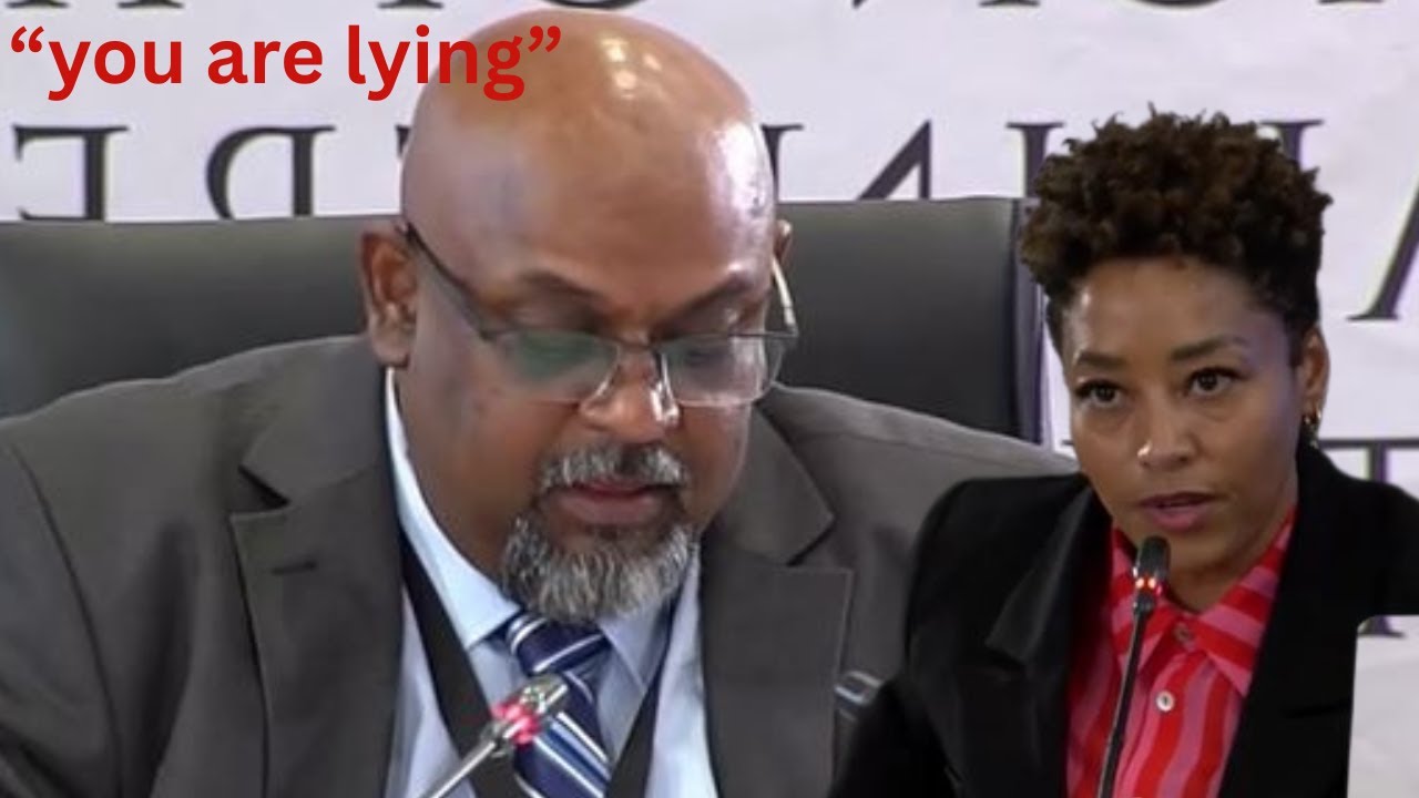 "YOU ARE LYING!" 🚩 Justice Madlanga CATCHES Advocate Behari in a ...
