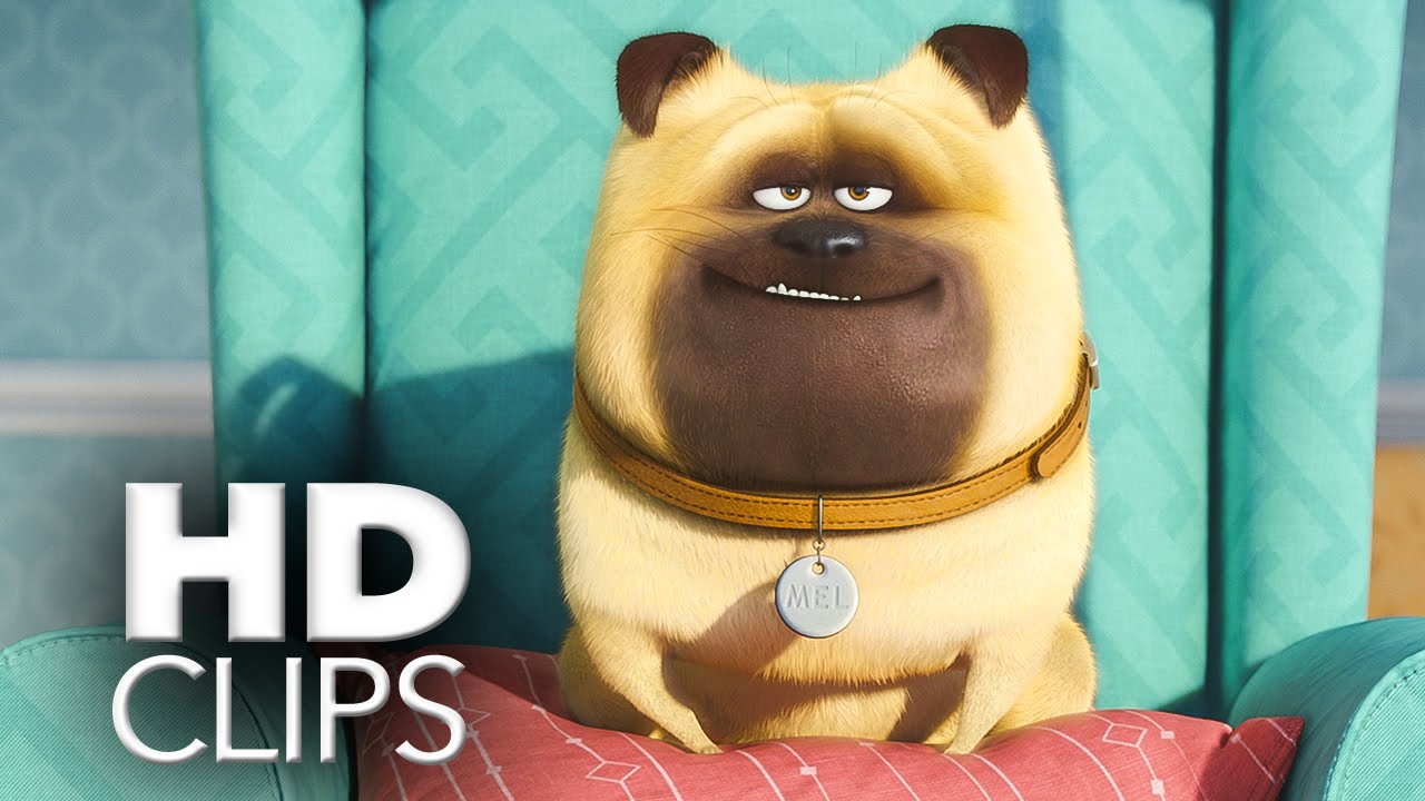 PETS | 7 Filmausschnitte | HD (2016) | The Secret Life of Pets - YouTube