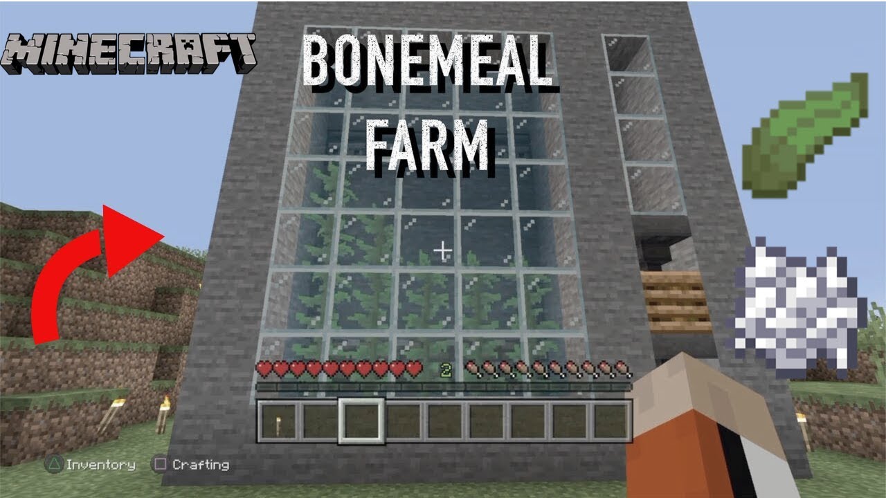 HOW TO MAKE AN AUTOMATIC BONEMEAL FARM IN MINECRAFT *PS4/PC/XBOX/SWITCH ...
