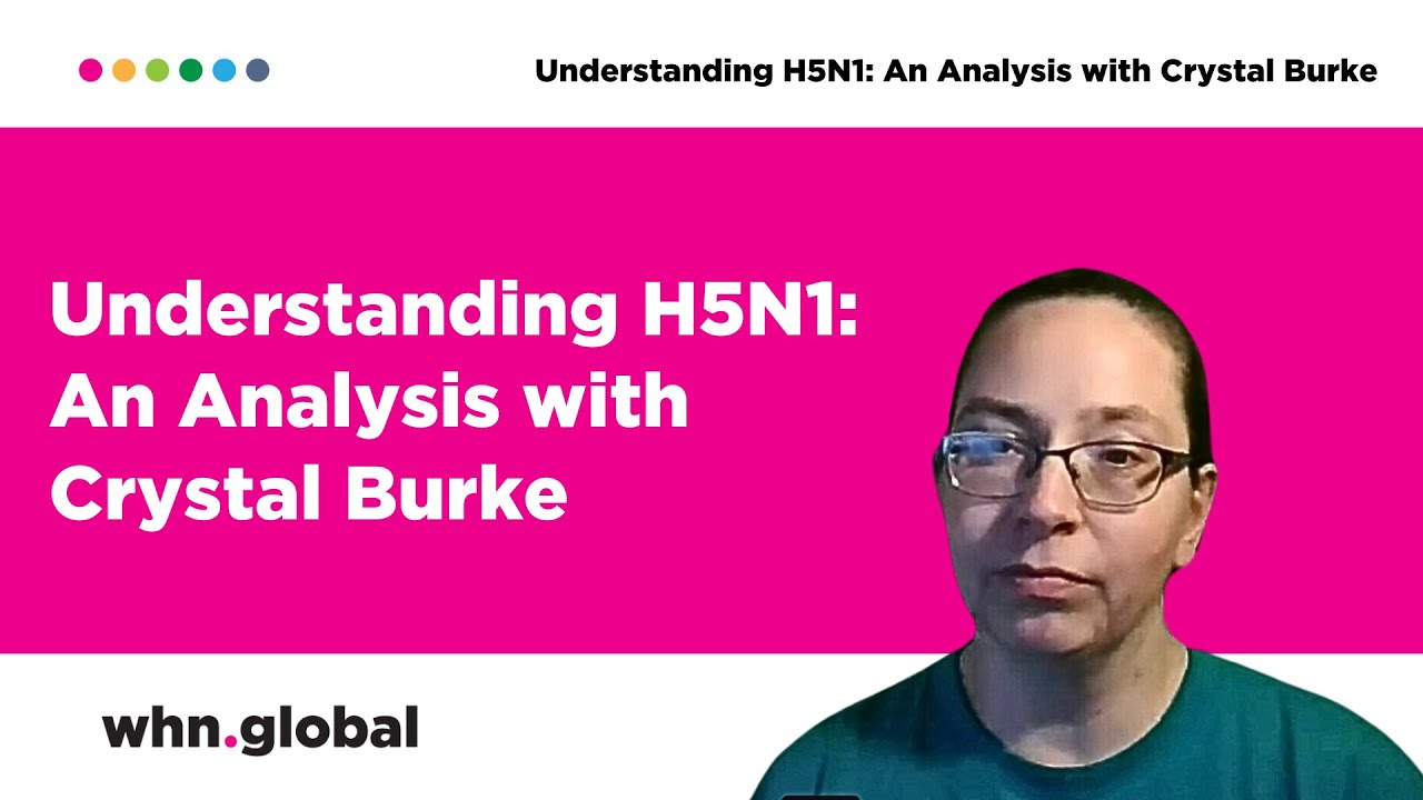 Understanding H5N1: An Analysis with Crystal Burke - YouTube