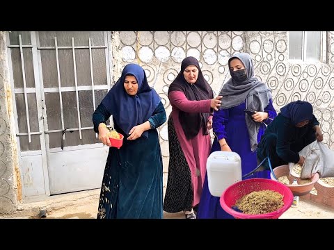 Was the grandmotherhurtbythe secondwife's anger?WhatisthereasonforZahra'ssupportfor the secondwoman?