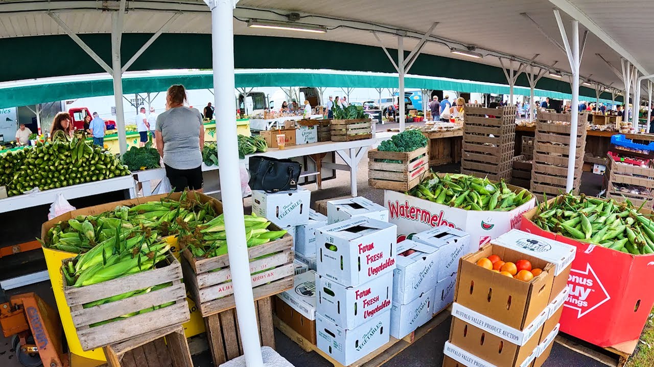 Selling 2,500 Sweet Corn In One Day - YouTube