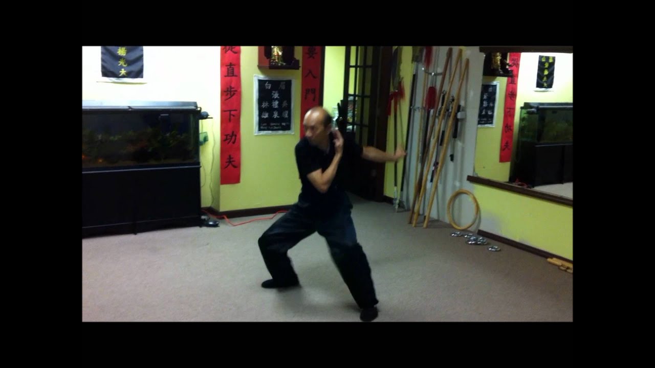 This is Pak Mei Master Simon Lui Long Chun - YouTube