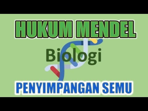 HUKUM MENDEL [PENYIMPANGAN SEMU] Contoh Soal Atavisme - YouTube