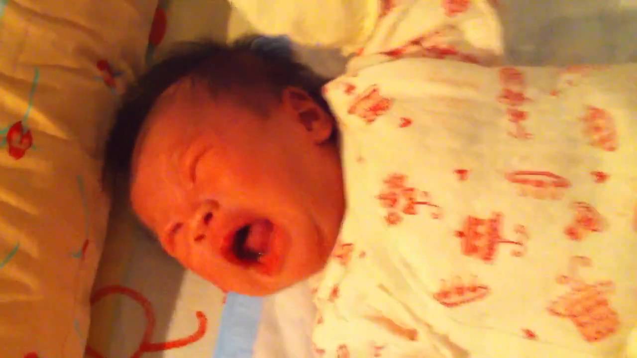 IMG 1019 YouTube IMG 1019 YouTube