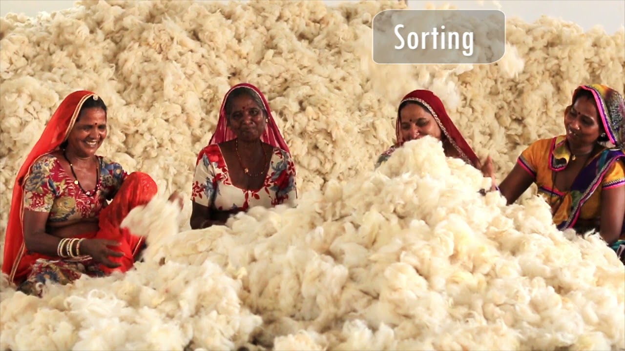 Bikaner wool production for our rugs - YouTube