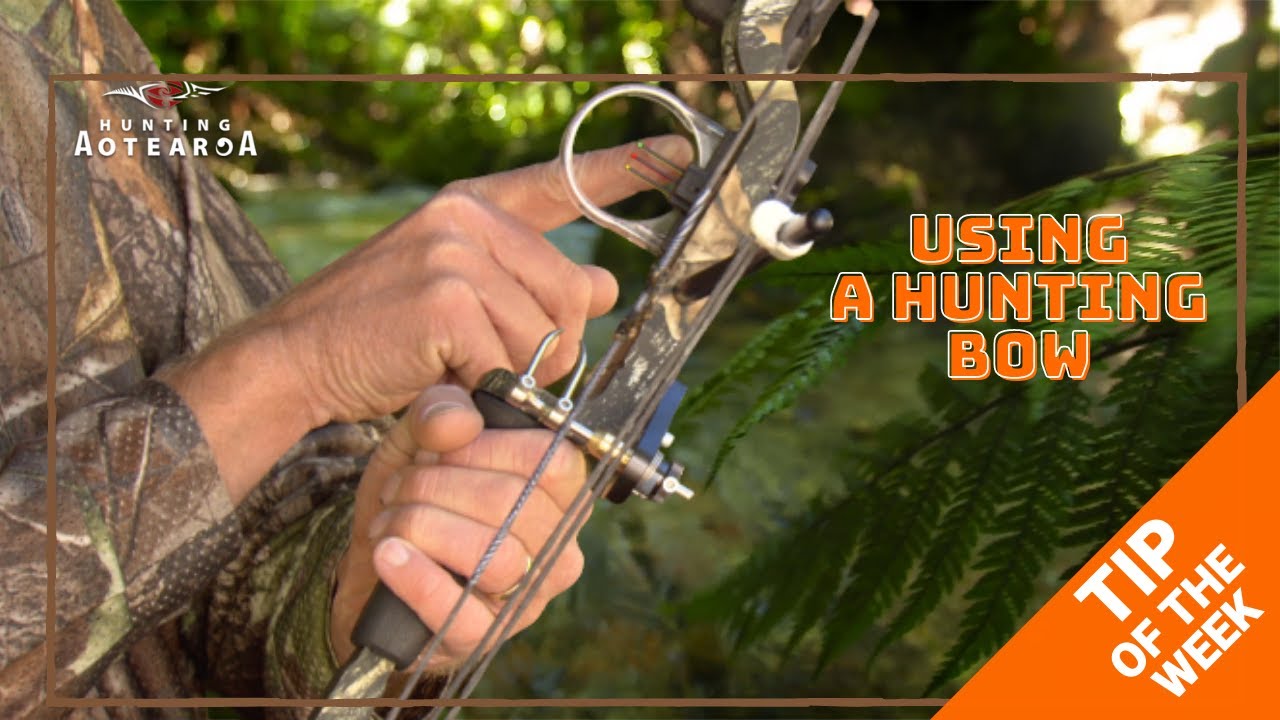 Hunting Aotearoa Tip - Bow Hunting Pt 1 - YouTube