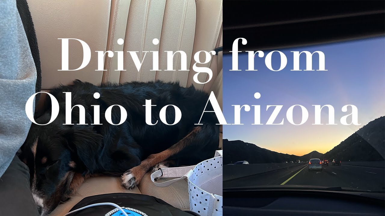 Driving from Ohio to Arizona | Roadtrip with a pup | 27 hours - YouTube