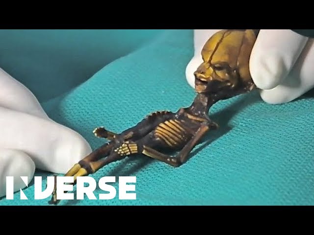 Atacama Desert Humanoid