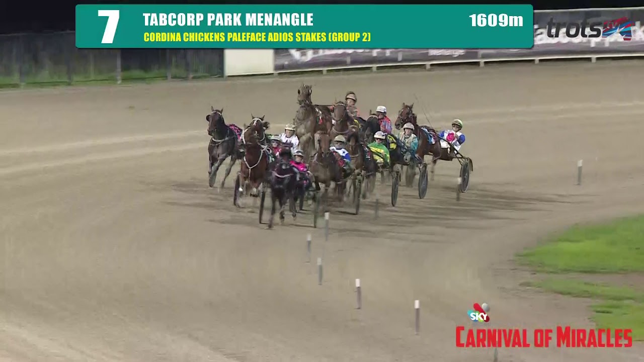 TABCORP PK MENANGLE - 15/02/2020 - Race 7 - CORDINA CHICKENS PALEFACE ...
