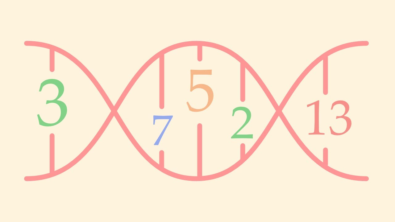 03 - Primes Are The Building Blocks of Numbers (Fundamental Theorem of ...