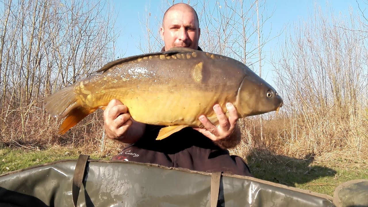 🎥 ️ CARPE AU COUP JOURNÉE CHEZ MAGIC CARPE A SAINT FELIX - YouTube