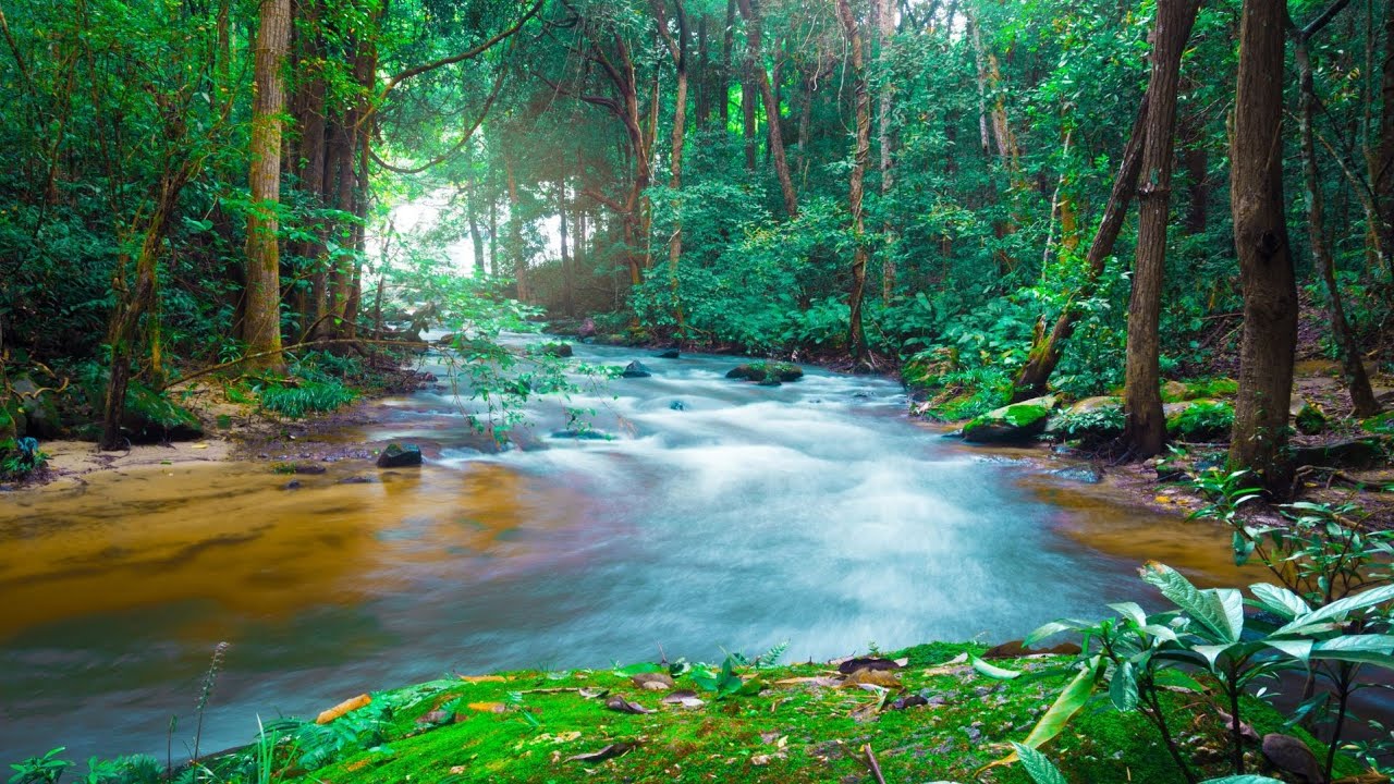 Relax and Rejuvenate with Waterfall Stream, Calming Nature Water Sounds ...