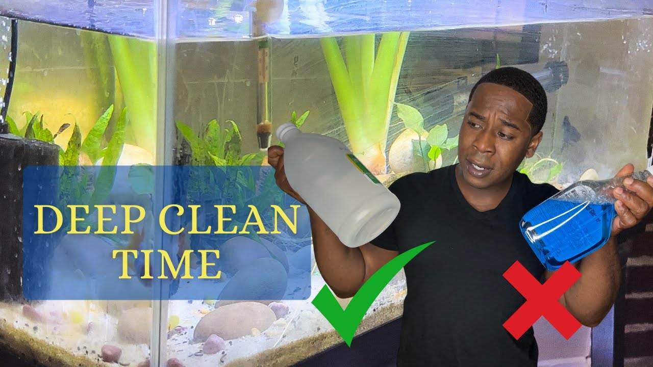 The Ultimate Deep Clean for Your Fish Tank! (Step-by-Step Guide) - YouTube