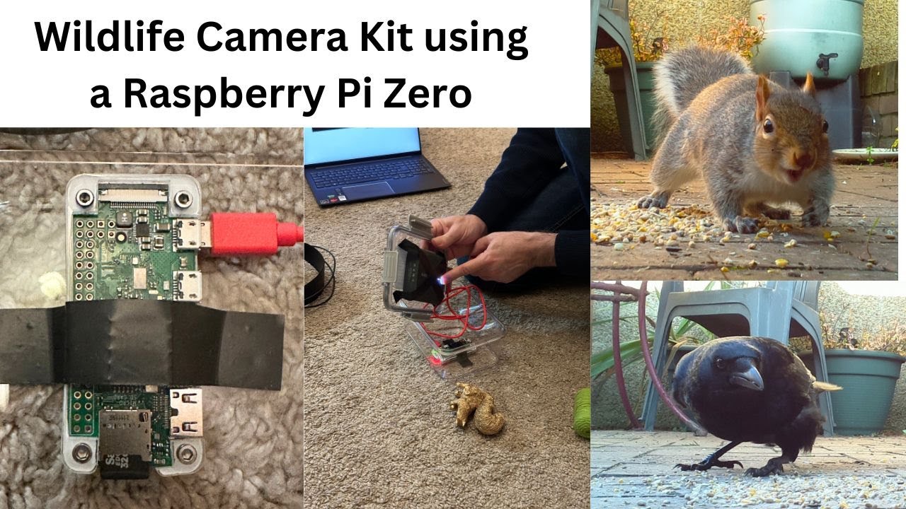 Raspberry Pi Zero. Nature Camera. Wildlife Camera. - YouTube